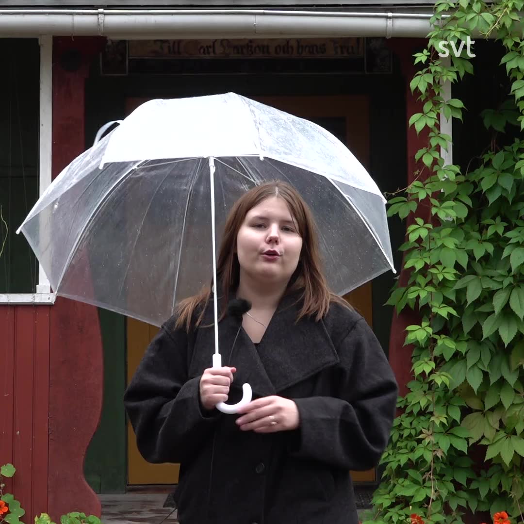 Dalabidragen som finns med i Sveriges kulturkanon | SVT Nyheter